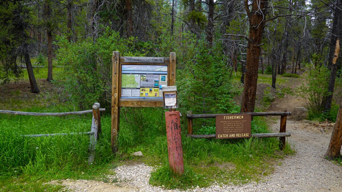 Hiking Mount Massive 14er in Leadville Colorado