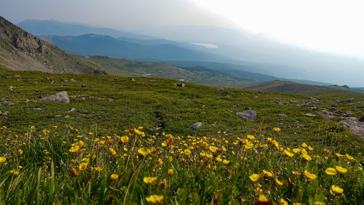 Hiking Mount Massive 14er in Leadville Colorado