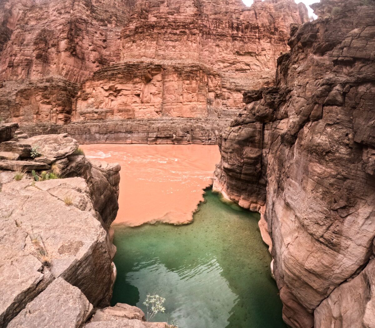 Hiking To The Confluence Havasu Creek Meets the Colorado River
