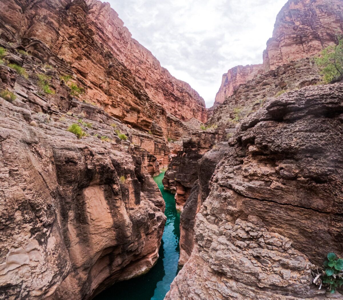 Hiking To The Confluence Havasu Creek Meets the Colorado River